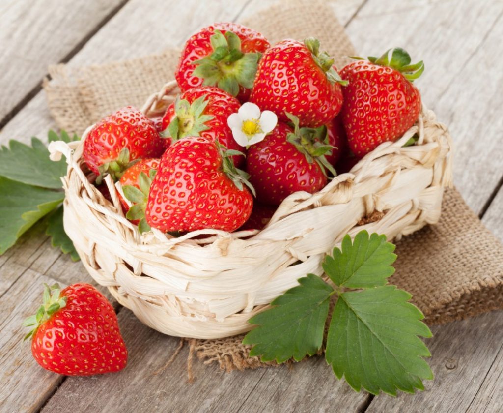 Nos producteurs, nos légumes, nos fruits - Les Jardins du Ried